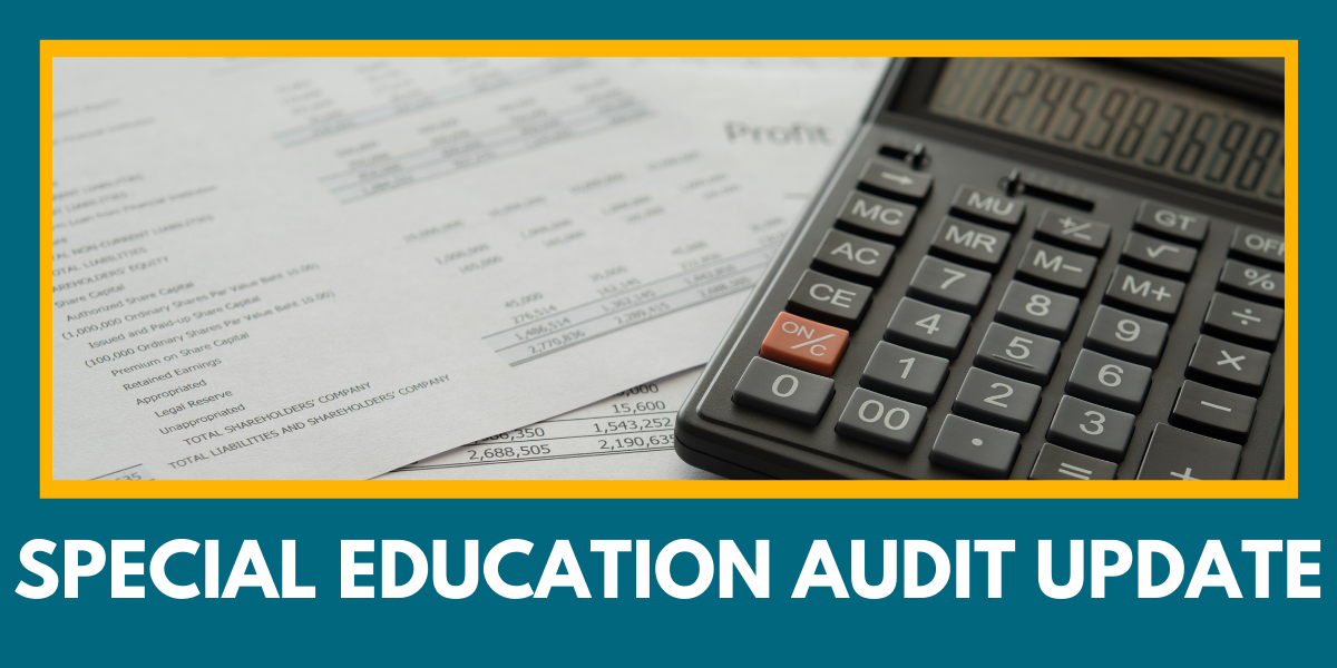 Update on FCPS Special Education Audit – 11/16 – Fairfax County Special ...